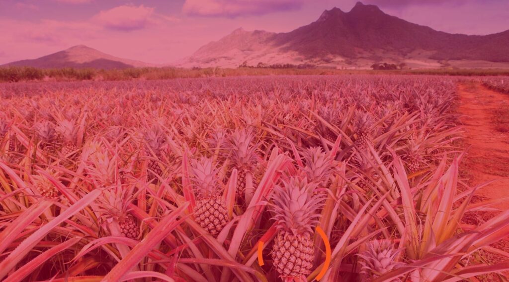 Financial indices - Absa Group | Welcome to Absa Group Limited