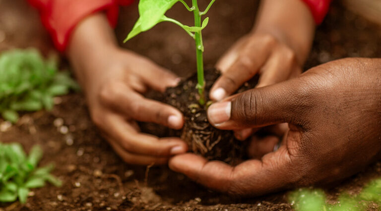 Absa Group | Welcome To Absa Group