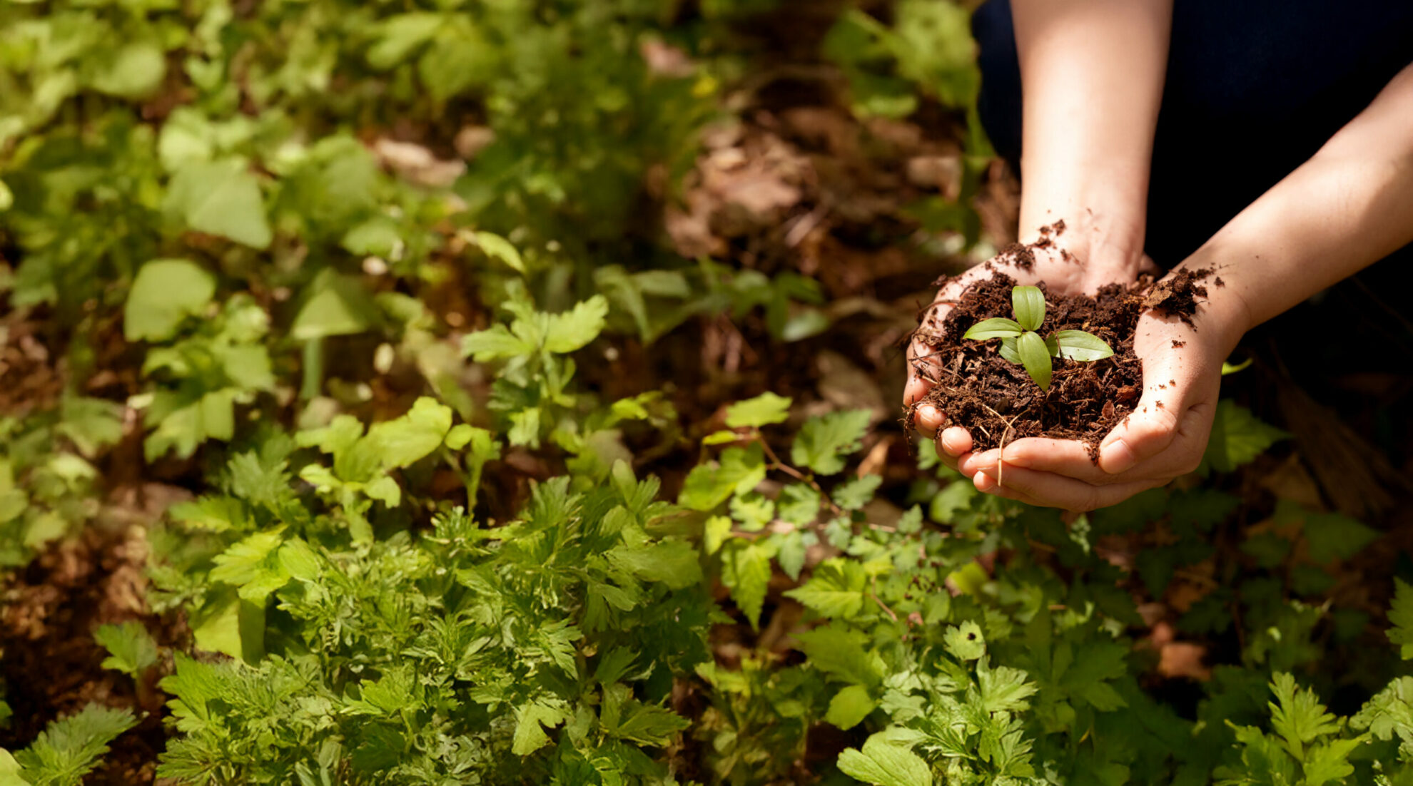 Absa Group | Welcome To Absa Group