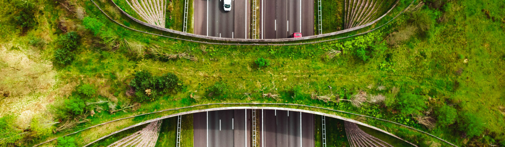 Absa Releases 2024 Sustainability and Climate Report - Absa Group ...